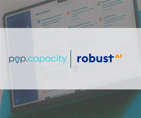 Services 1 — Robust Ai