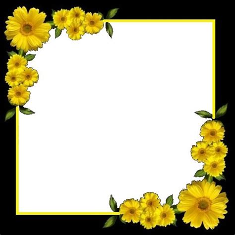 Montaje Fotográfico Flores Amarillas Borde De Flores Con Fondo Negro