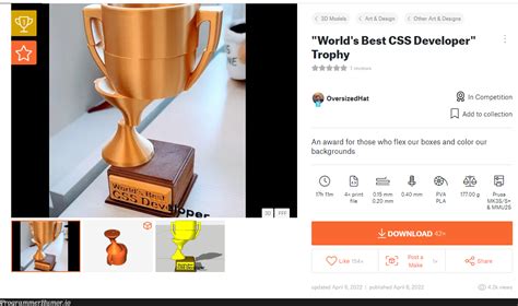 “worlds Best Css Developer” Trophy