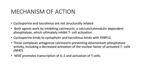 Calcineurin Inhibitors Toxicitypptx