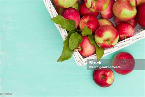 청록색 배경에 신선한 붉은 유기농 사과로 가득 찬 흰색 바구니의 상단 보기 가을 수확 건강한 간식 가득 찬에 대한 스톡 사진 및 기타 이미지 Istock