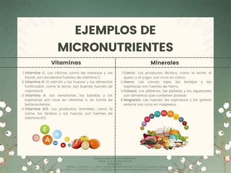 Ppt Ejemplos De Micronutrientes Powerpoint Presentation Free Download Id 12599011