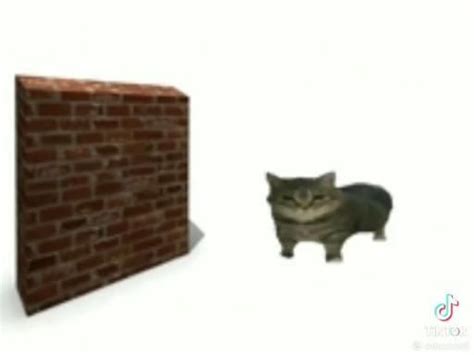 Fast Cat Cat Excited Sticker Fast Cat Cat Excited Jumping Ищите  Fast Cat Cat Excited Sticker Fast Cat Cat Excited Jumping Ищите