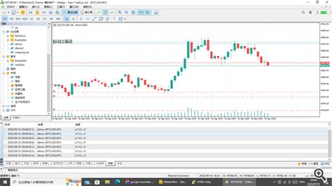 Where Does The Come From What Is Forex Trading Expert Advisors And Automated Trading