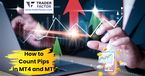 How To Count Pips In MT And MT