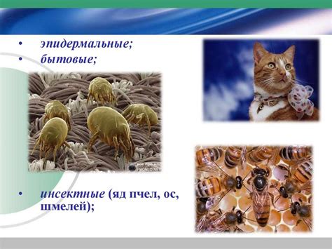 Учение об иммунитете - презентация онлайн