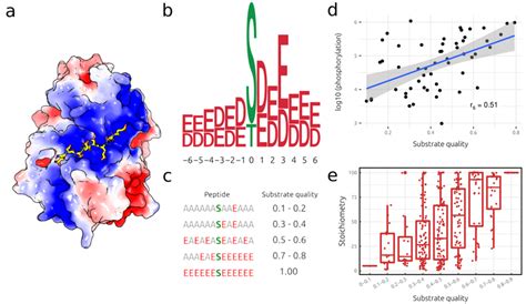 Ck2 Motif Preference And The Impact Of Substrate Quality On The Download Scientific Diagram