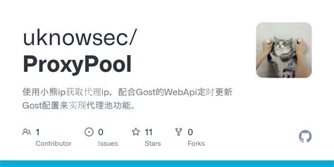 GitHub uknowsec ProxyPool 使用小熊ip获取代理ip配合Gost的WebApi定时更新Gost配置来实现代理池功能
