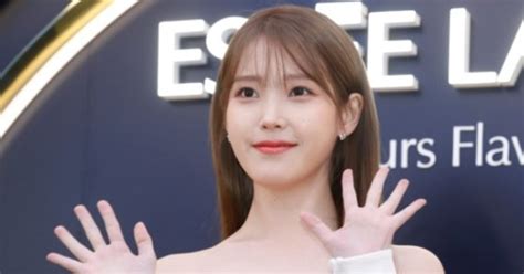 아이유 표절했다 명예훼손 악플러…잡고보니 중학교 동문