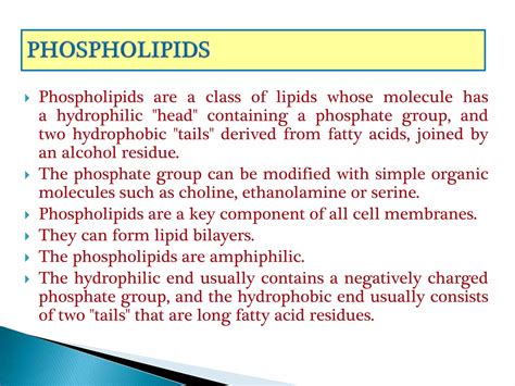Lipids Properties Classification Function Pptx