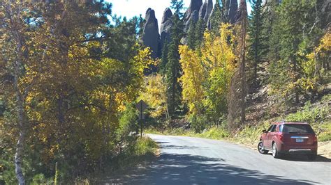 Custer If You Havent Been Out To See The Colors Along Needles