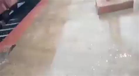 Vijay Prabhagaran Posted On Linkedin