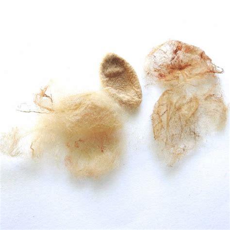 Eri Red Silk Cocoons Cruelty Free Mixed Media Jewellery Stitching Paper Felting Ora