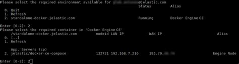 Connect To Docker Engine And Manage It Within Jelastic Paas Virtuozzo Blog