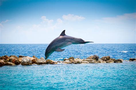 Strategies For Monitoring Innodb Page Splits In Mysql 8 Using Performance Schema