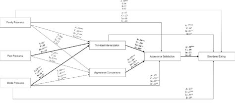 Multigroup Structural Equation Model With Standardized Path Download Scientific Diagram