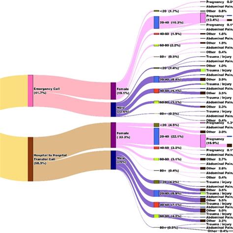Sankey Diagram Demonstrating The Socio Economic Distribution Of