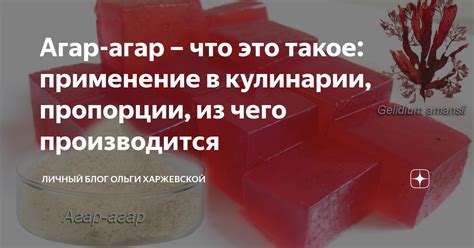 Агар-агар – что это такое: применение в кулинарии, пропорции, из чего ...