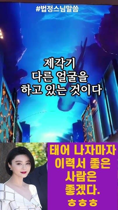 얼굴은 삶의 이력서 Shorts유튜브몸마음말 몸마음말 마음공부 Youtube