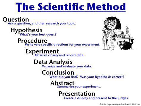 science project steps