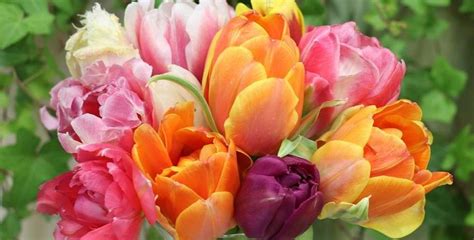 Цветница е Честит празник на всички именици Радио 1 Рок Едно рок радио