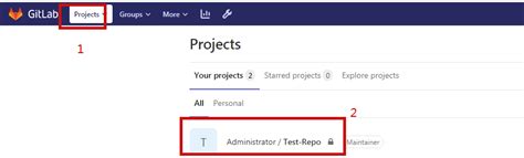 gitlab 设置分支保护功能及取消分支保护 DevOps SRE 博客园