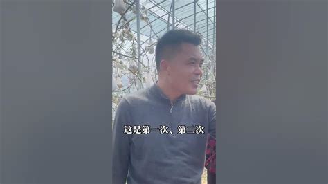 果树花期的打药方案，全年植保的万能公式 农业种植 果园管理 病虫害防治 果树管理 Youtube