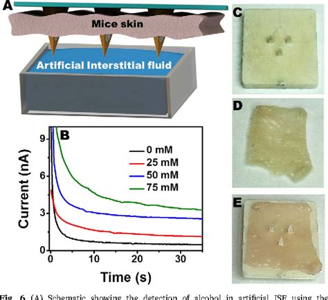 Figure 1 From Continuous Minimally Invasive Alcohol Monitoring Using Microneedle Sensor Arrays