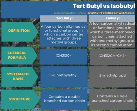 Difference Between Tert Butyl And Isobutyl Compare The Difference Between Similar Terms
