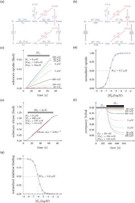 Figure From Descriptors Of Secondary Active Transporter Function And How They Relate To