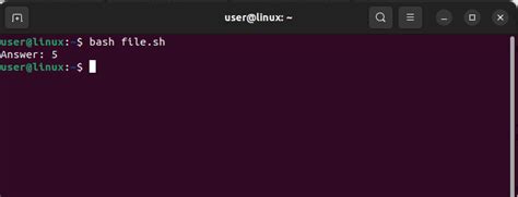 How To Divide Two Variables In Bash Linux Genie