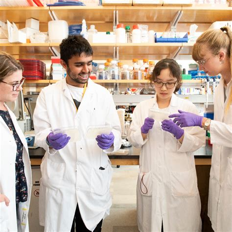 Tufts Research Experience Labs University College