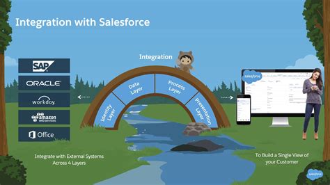 integrate customer data sources with salesforce unit salesforce