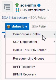 Getting Started With Administering Oracle SOA Suite And Oracle Business