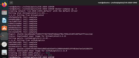Apache Apisix网关系统历史漏洞复现分析apisix 漏洞 Csdn博客 Apache Apisix网关系统历史漏洞复现分析apisix 漏洞 Csdn博客