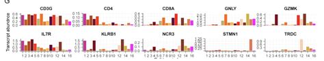 defining the clusters · issue 69 · stemangiola cellsig · github
