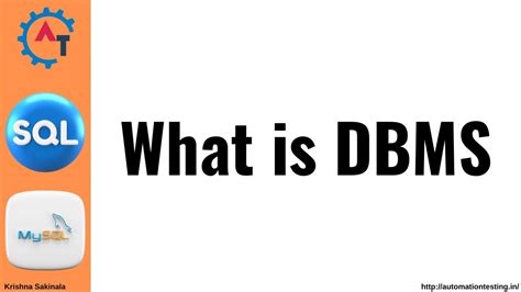 1 Understanding Dbms Sql Tutorial For Beginners Introduction To Database Management Systems