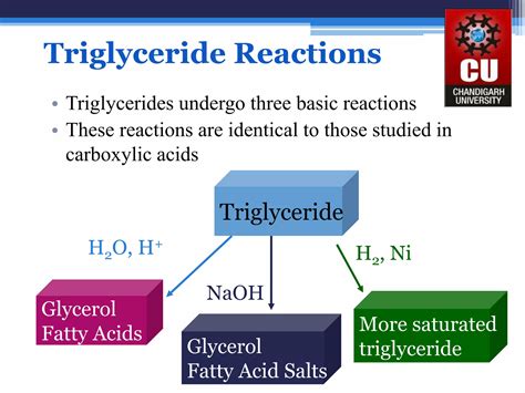 Triglycerides Pptx