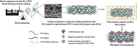 结构稳定和表面织构的聚乳酸 共聚物 聚（ε 己内酯）共混物基电纺结构，具有可调的羟基磷灰石响应性 Colloids And Surfaces B Biointerfaces X Mol