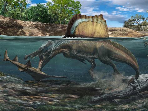 New Paper Suggests Spinosaurus Was An Underwater Hunter News Resetera