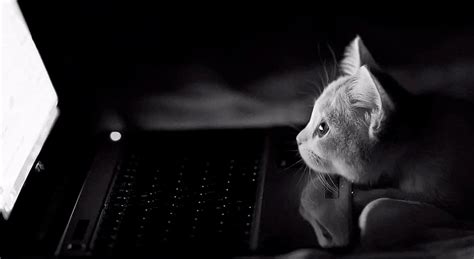 Переходя с Hex и Rgb на Hsl Catinweb