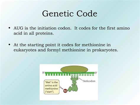 Genetic Code Ppt