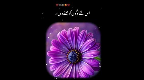 Hassad फसल Shorts Viralshorts Motivationalvideo Status