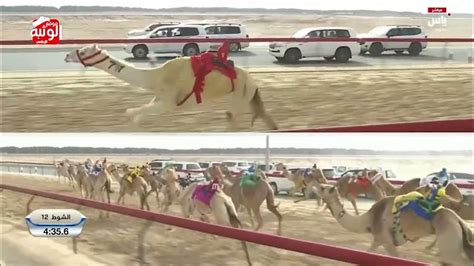 الشوط 12 كدريه لـ ناصر هزاع بن ناصر الشهواني 72104 ، مهرجان ختامي