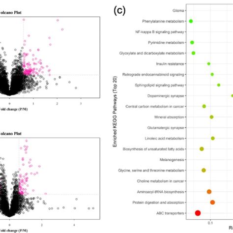 Metabolomics A Positive Ion Mode Differential Metabolites B