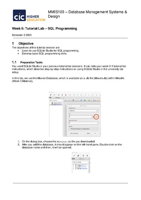 week 6 tutorial d mmis103 database management systems and design week 6 tutorial lab sql