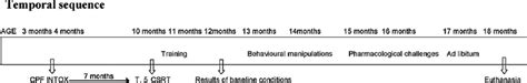 Temporal Sequence Of The Experiment Download Scientific Diagram