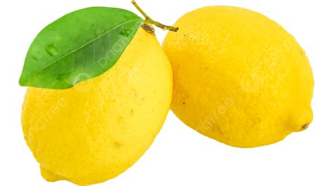 레몬 옐로우 현실적인 사워 벡터 레몬 현실적 녹색 Png 일러스트 및 이미지 에 대한 무료 다운로드 Pngtree