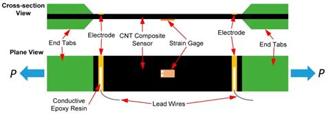 Processing And Characterization Of A Novel Distributed Strain Sensor Using Carbon Nanotube Based