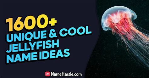 Cool And Catchy Jellyfish Names Ideas Generator